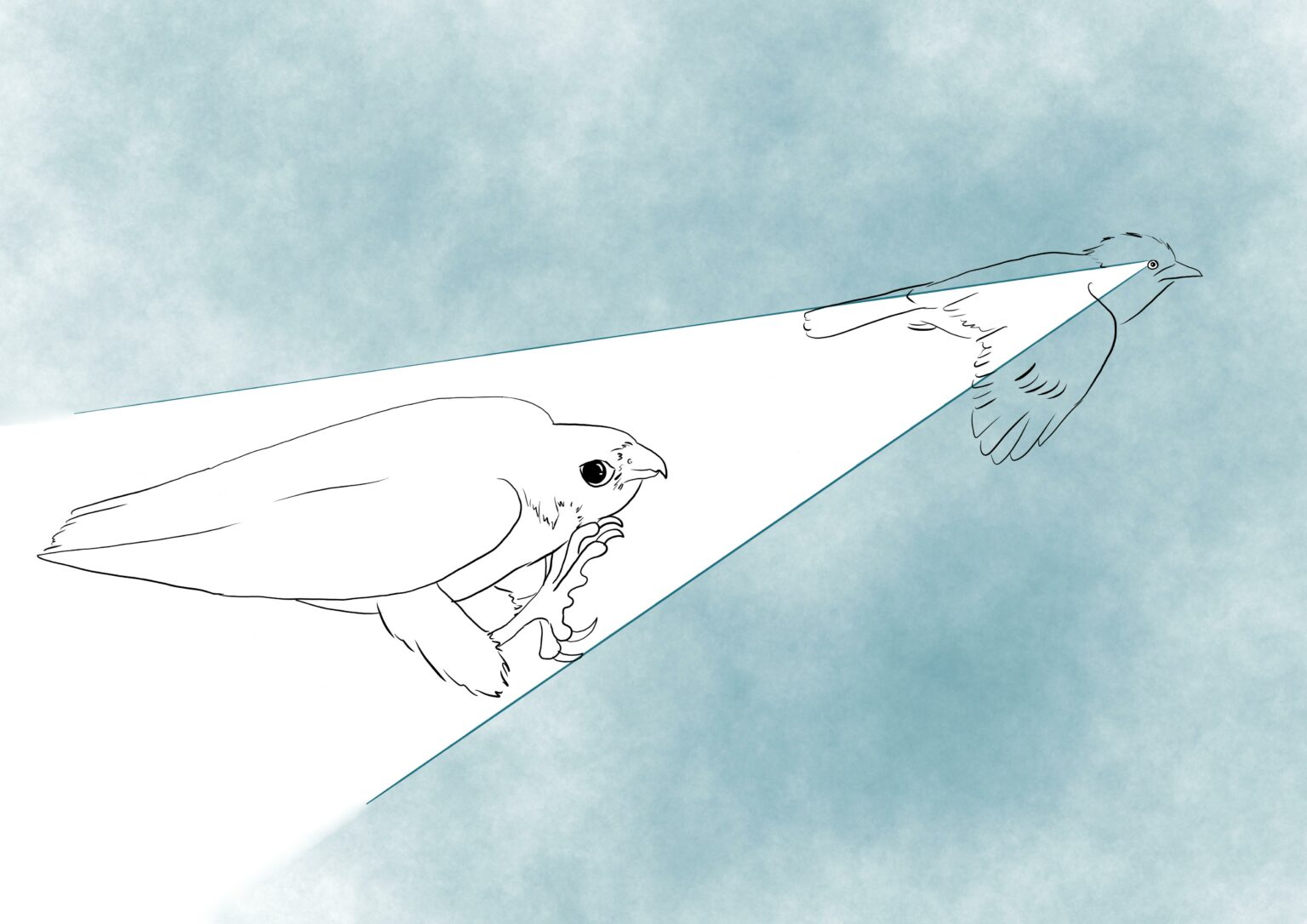 Le Faucon pèlerin, un chasseur redoutable - Baleine sous Gravillon